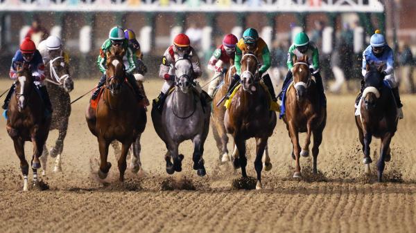 2024 Clark Stakes at a Glance | America's Best Racing