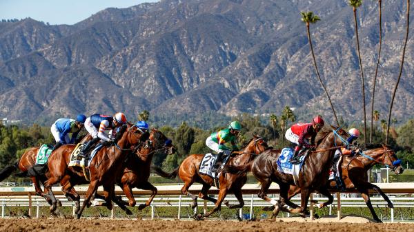 Exacta Betting Strategy for 2024 American Pharoah Stakes | America's ...
