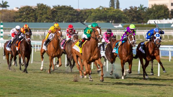 Looking Beyond Favorites for Value in Pegasus Filly and Mare Turf ...