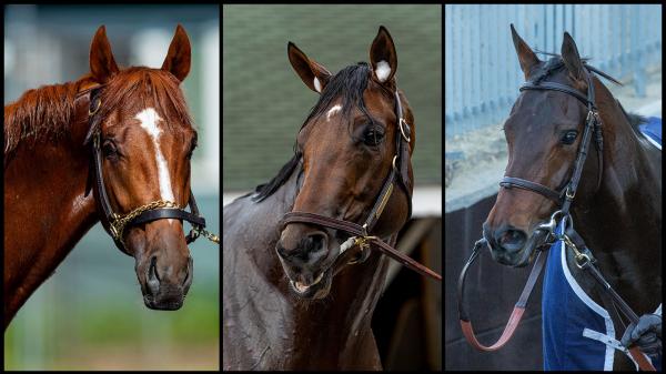 Meet the Contenders for the 2022 Travers Stakes | America's Best Racing