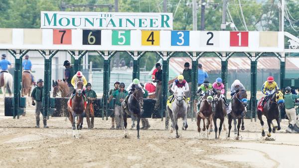 2024 West Virginia Derby at a Glance | America's Best Racing