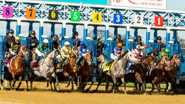 Betting a 10-1 Longshot in the Wood Memorial Stakes | America's Best Racing