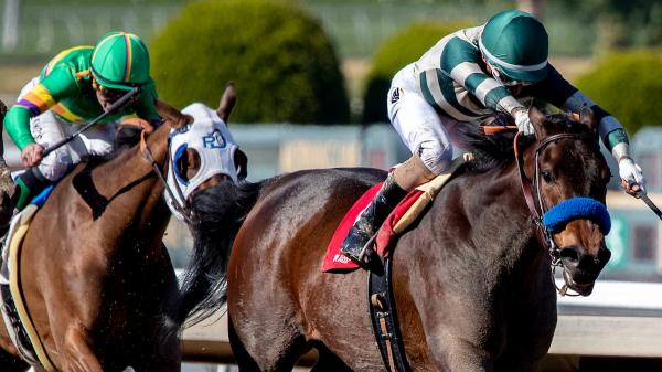 2023 Black-Eyed Susan at a Glance | Americas Best Racing