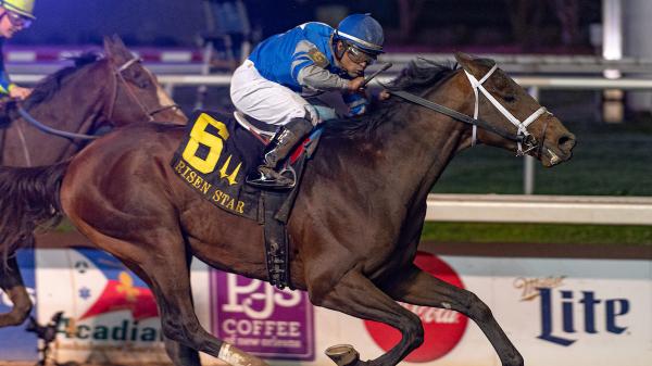 Angel of Empire Ascends in Latest Poll of Kentucky Derby Hopefuls ...