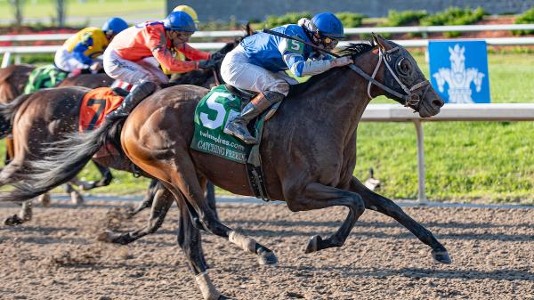 Catching Freedom Rallies from Last to First to win Louisiana Derby ...