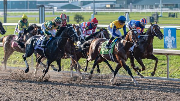 Byron King’s Derby Dozen for March 19 | America's Best Racing