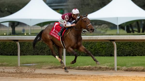 Dazzling Return for Reigning Horse of the Year Thorpedo Anna | America ...