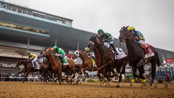 2026 Wood Memorial Stakes Cheat Sheet | America's Best Racing