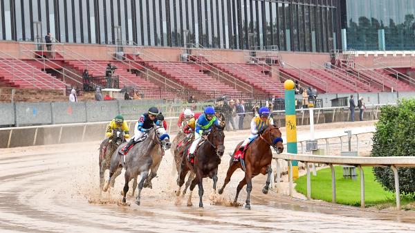 TVG Evolves Amidst Changes in Sports Landscape | America's Best Racing