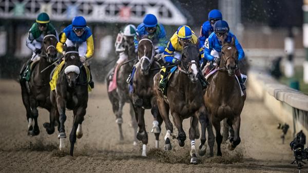 Looking for a Reason to Cheer in Churchill's Golden Rod Stakes ...