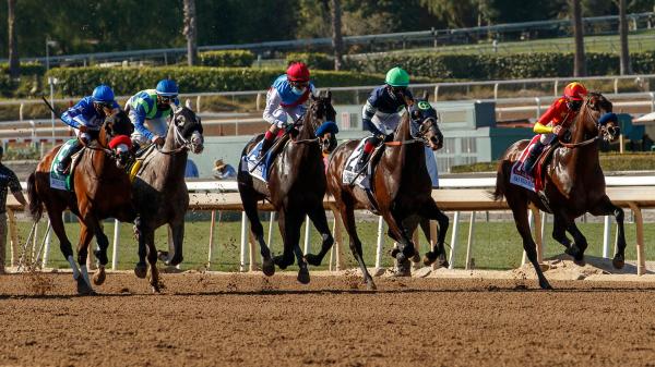America's Best Horses for March 8 | America's Best Racing