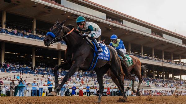 Adare Manor Proves Best in Clement L. Hirsch Stakes at Del Mar ...