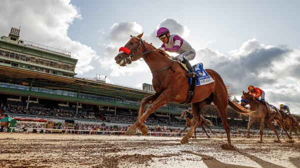 Five Key Takeaways You Need to Know From a Busy Breeders' Cup Prep ...