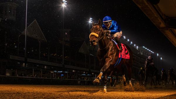 2025 Kentucky Derby Prospect Profiles: Kentucky Jockey Club Winner ...