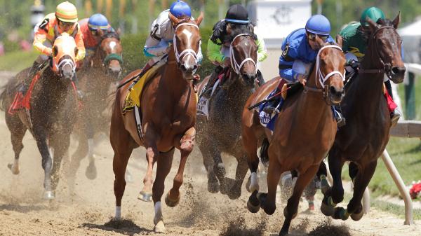 Beginner’s Guide to Trip Handicapping | America's Best Racing