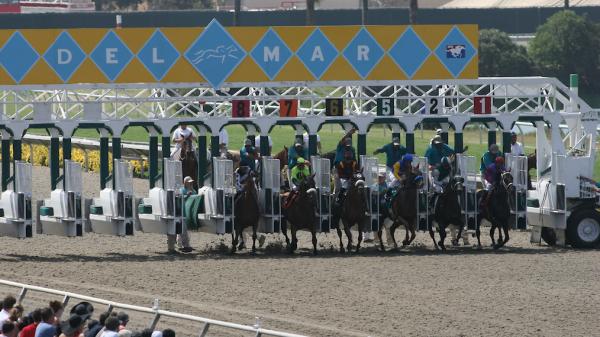 ABR Sunday Selections: Full-Card Picks for Sunday, Nov. 24 at Del Mar ...