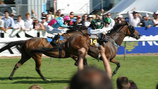 How Horse Racing Enthusiasts Can Plan Ahead for a Future Trip to New ...