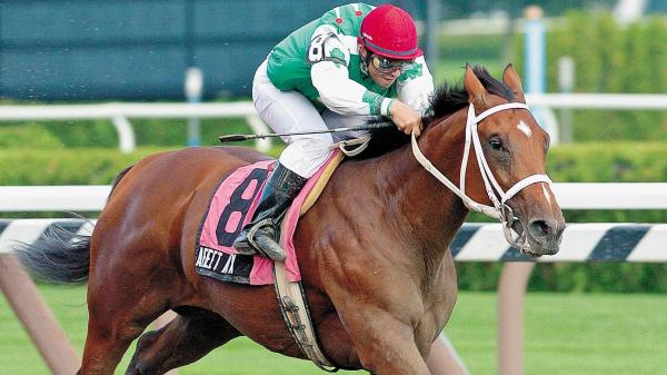 Stackin’ Cheddar: Recalling Afleet Alex’s Sizzling Stakes Debut at the ...