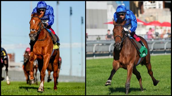 All About Appleby and Four Other Takeaways You Need to Know from ...