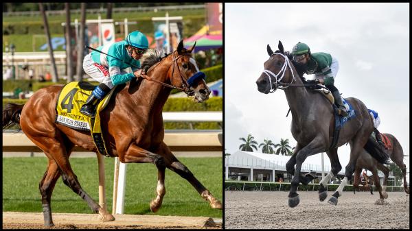 2020 Haskell Stakes Cheat Sheet | America's Best Racing