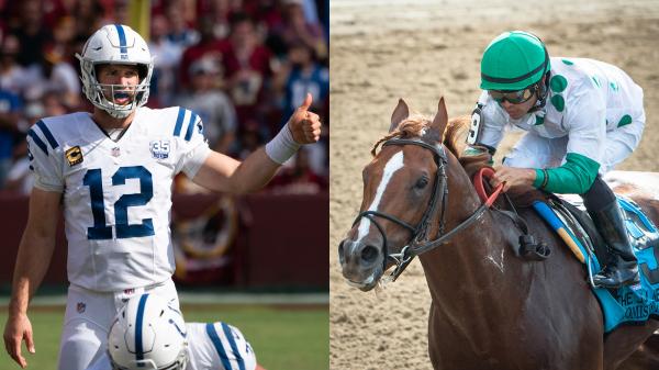 A Short History of Horse-Inspired Sports Team Names | America's Best Racing