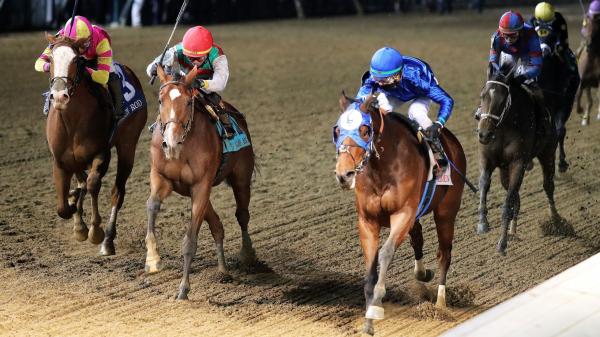 2026 Rachel Alexandra Stakes at a Look – GOALL