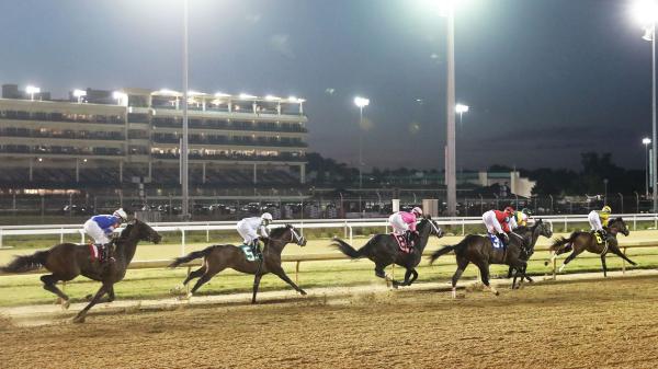 2024 Ack Ack Stakes at a Glance | America's Best Racing
