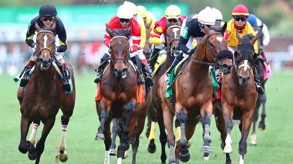 Betting a Fast-Rising Filly in Mrs. Revere Stakes | America's Best Racing