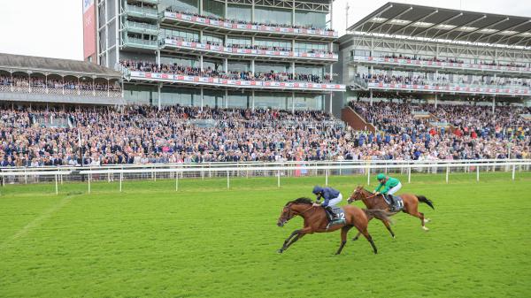 City of Troy, Laurel River Share 2024 Longines World’s Best Racehorse ...