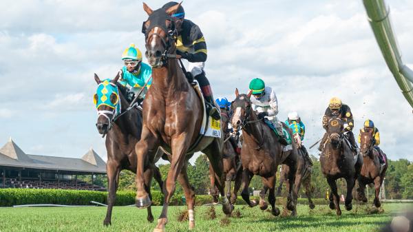 Sword Dancer Stakes at a Glance | America's Best Racing