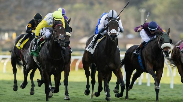 Where to Watch/Listen: Horse Racing Coverage Dec. 1-4 | America's Best ...