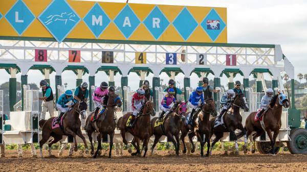 Where to Watch/Listen: Horse Racing Coverage for Nov. 11-15 | America's ...