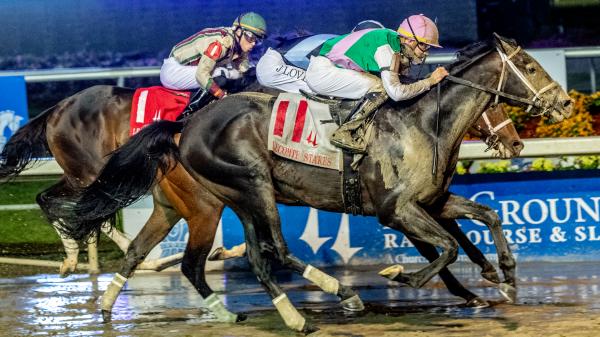 Disco Time Wins Lecomte Stakes, Remains Unbeaten | America's Best Racing