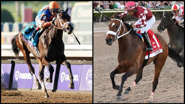 2024 Florida Derby Cheat Sheet: Get to Know the Horses | America's Best ...