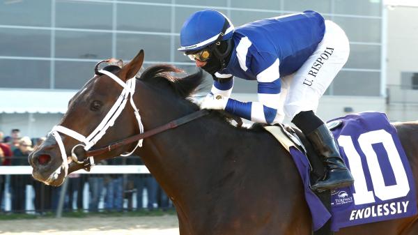 Endlessly Dominates Jeff Ruby at Turfway, Will Skip Derby | America's ...