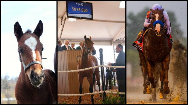 Eight Essential Steps to Get Your Horse to the Kentucky Derby | America ...