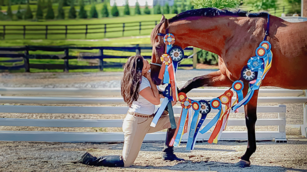 Thoroughbred Aftercare Alliance Success Stories: Taking a Leap of Faith ...
