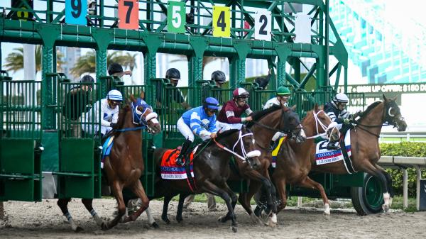 Top Positions Unchanged in Latest NTRA Triple Crown Poll | America's ...