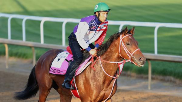 Forever Young ‘Ready to Rumble’ at Churchill Ahead of 2024 Kentucky ...