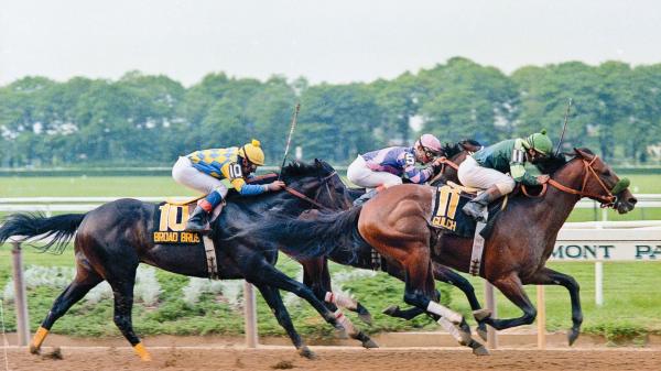 Underappreciated Horse Racing Stars of the 1980s: Chief’s Crown, Gulch ...