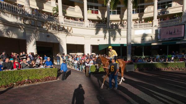The Main Track: Florida Racing Community Battles Hurricane Irma ...