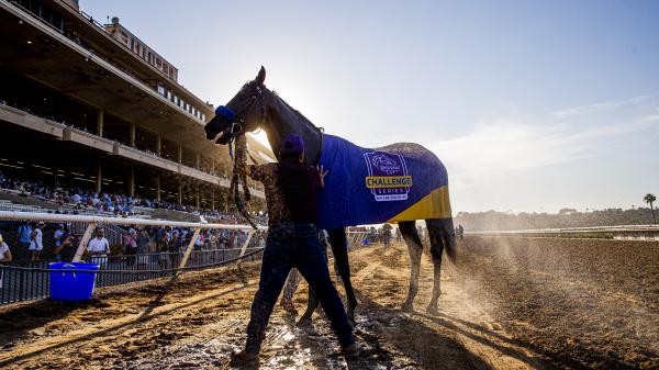 Flightline Earns Historic Rating for Dirt Horse, Lands Top Spot in ...