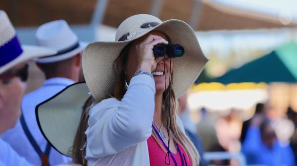 2022 Beverly D. Stakes at a Glance | America's Best Racing