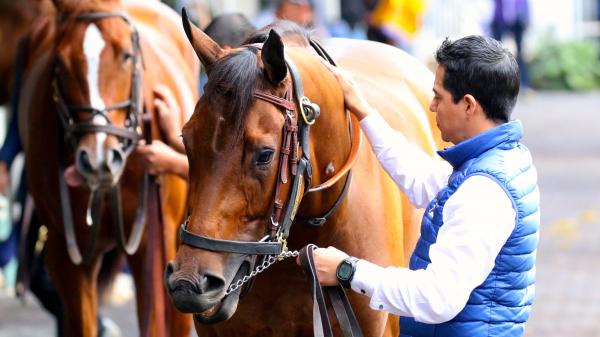 HISA Establishes Next Generation Advisory Group | America's Best Racing