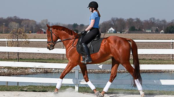 Years After the Derby, Sam P. Thriving in His Second Career | America's ...