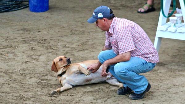 Trainers’ Best Friends: The Racetrack Dogs | America's Best Racing