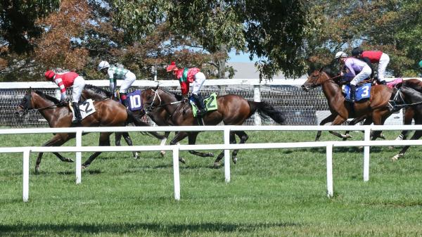 2024 Nashville Derby Invitational at a Glance | America's Best Racing