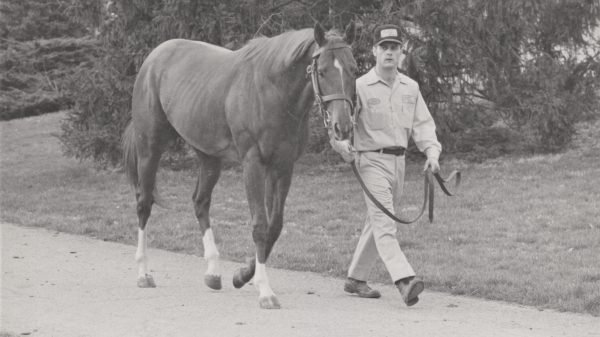A Trio of Triple Crown Turning Points for Legendary Secretariat ...