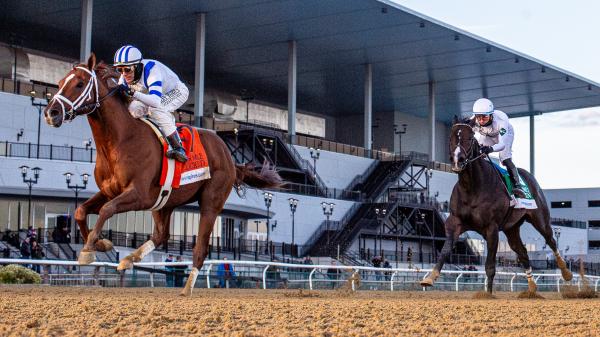 Five Key Takeaways You Need to Know from Cigar Mile Day at Aqueduct ...