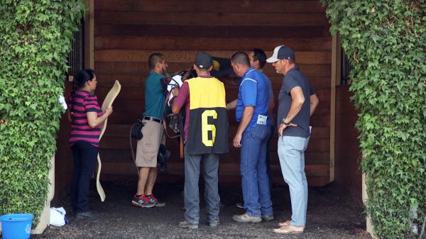 Little Red Feather Offering Unique Racehorse Ownership Opportunity ...